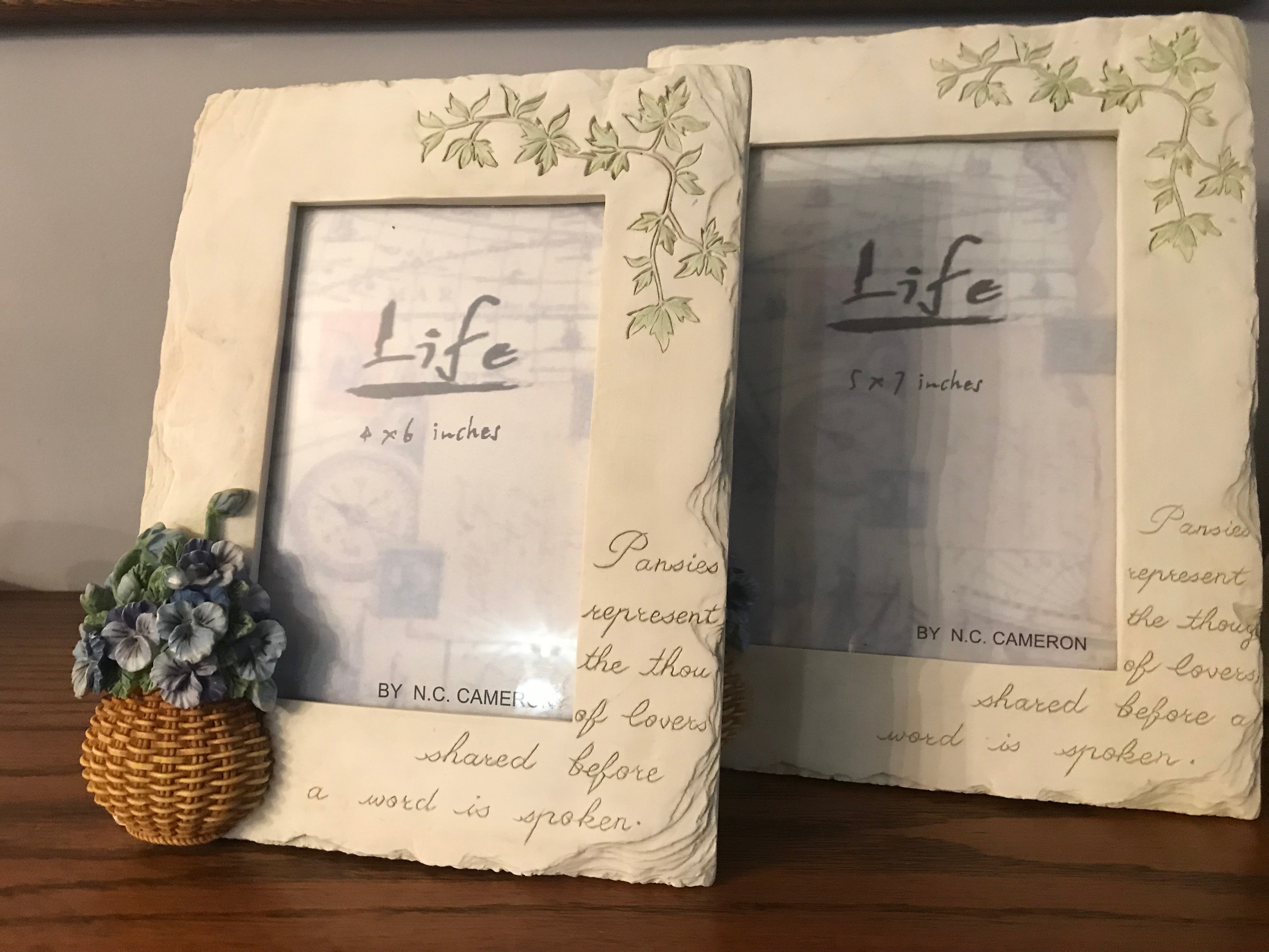 Life, Pansy Frame – Dens and Friends