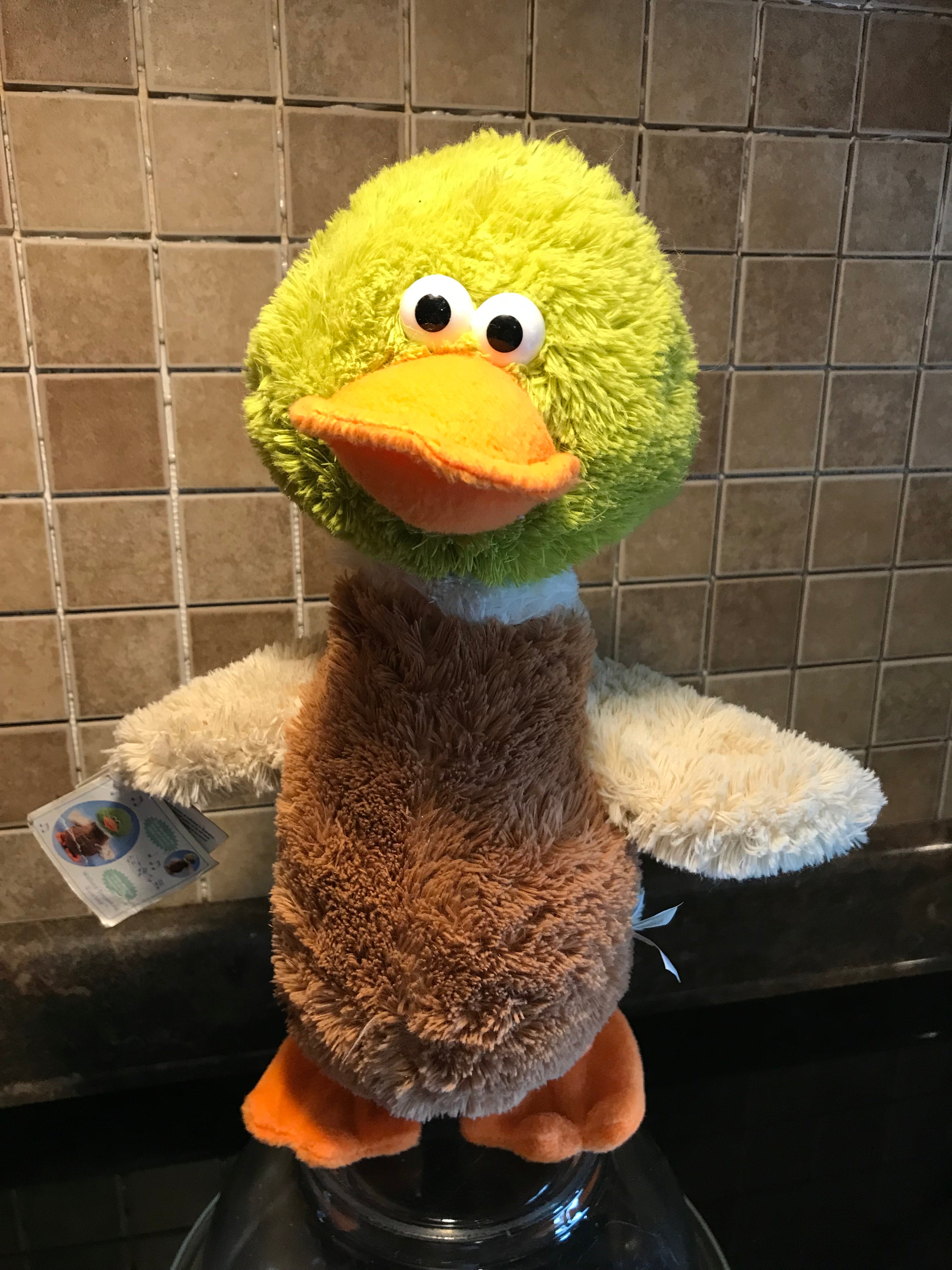 Walkin Squawking Quackles – Dens and Friends